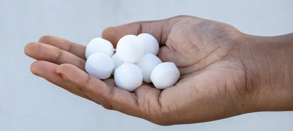 Can You Use Mothballs for Pest Control? | Anytime Pest Elimination